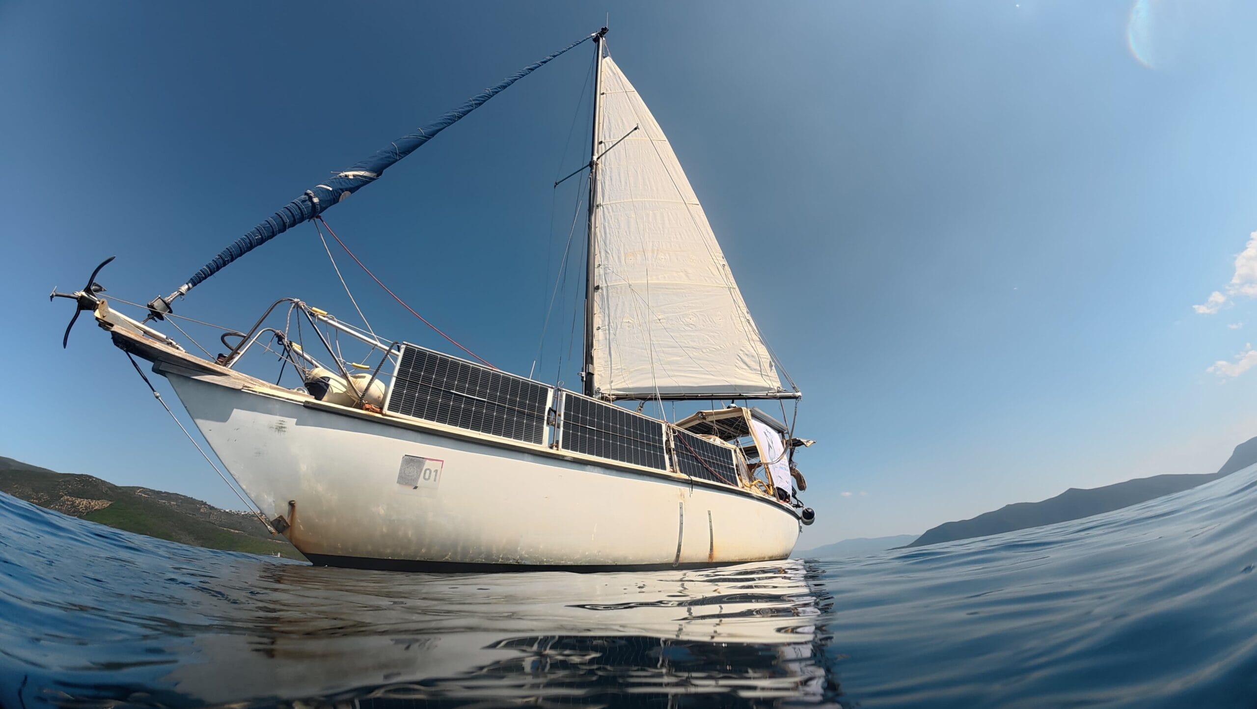 Set Sail for Seal Greece: A National Campaign to Protect the ...